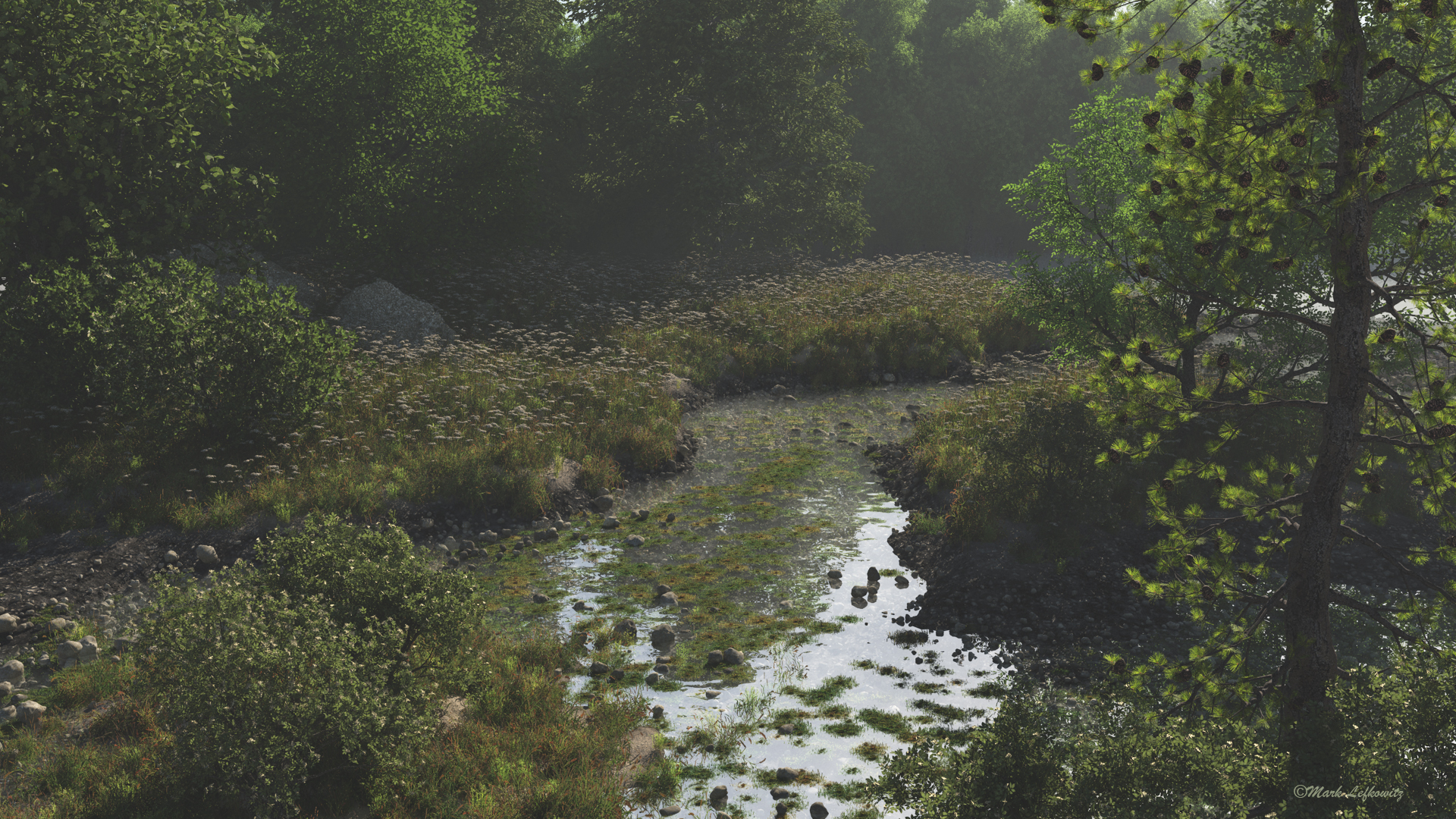 Gallery | Mark Lefkowitz Fine Art