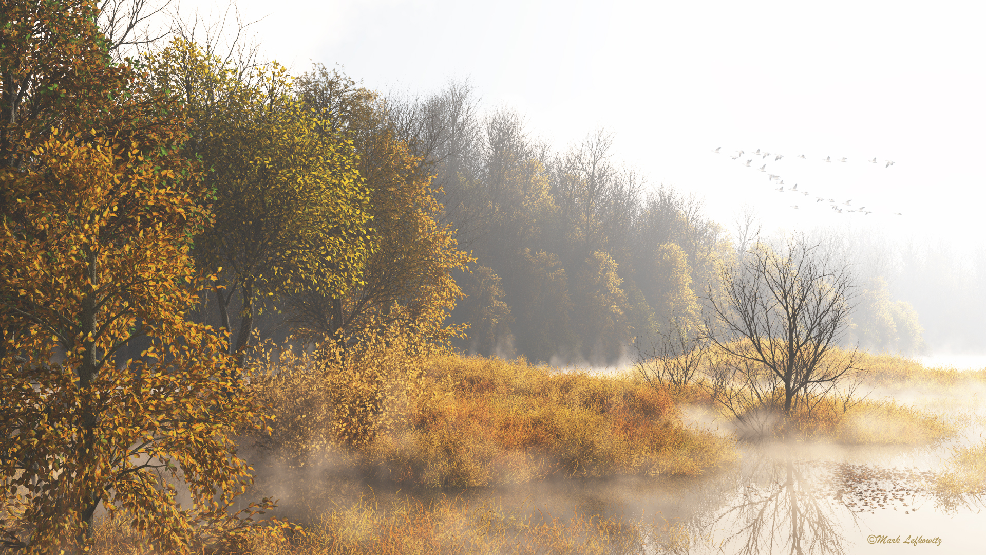 Gallery | Mark Lefkowitz Fine Art